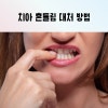 치아 흔들림 대처 방법 네이버 블로그
